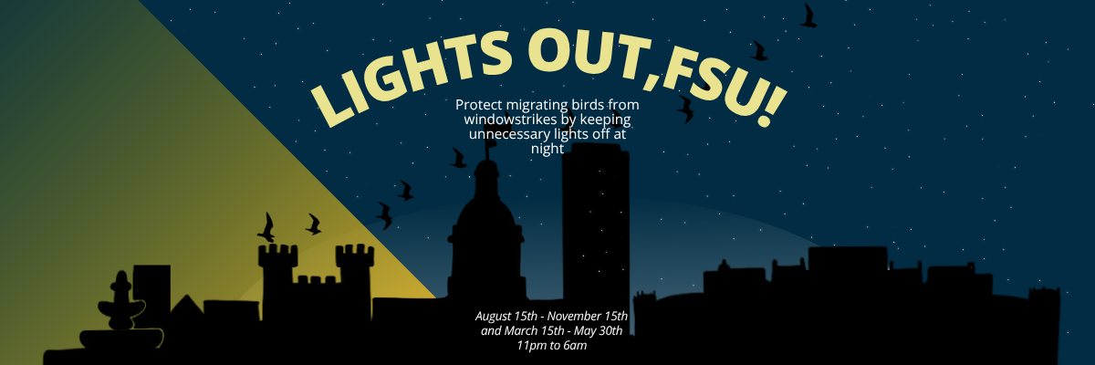 Lights Out, FSU: Help Protect Migrating Birds | University Announcements